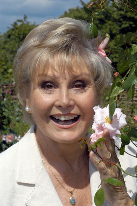 Angela Rippon Editorial Stock Photo - Stock Image | Shutterstock