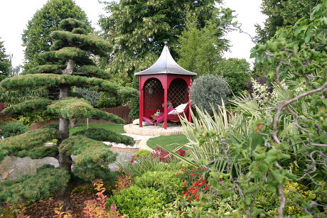 Plants Life Garden Editorial Stock Photo - Stock Image | Shutterstock