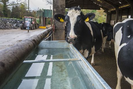 250 Water troughs Stock Pictures, Editorial Images and Stock Photos ...