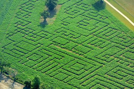Well Known Maze Master David Partridge Editorial Stock Photo - Stock ...