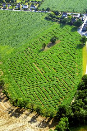 Well Known Maze Master David Partridge Editorial Stock Photo - Stock ...