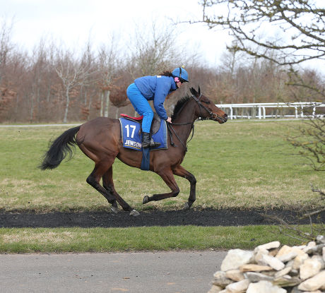 Horse Racing - 1 Apr 2015 Stock Pictures, Editorial Images and Stock ...