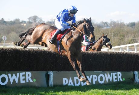 Cork Noble Prince Gerry Spain Jump Editorial Stock Photo - Stock Image ...