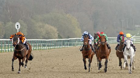 __COUNT__ Horse Racing - 8 Apr 2015 Stock Pictures, Editorial Images ...