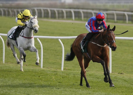 __COUNT__ Horse Racing - 8 Apr 2015 Stock Pictures, Editorial Images ...