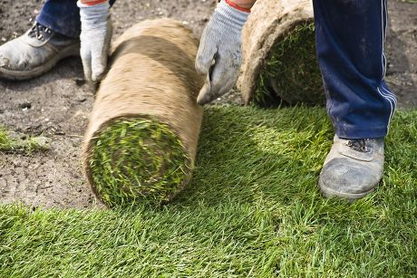 Lawn Turf Rolls Landesgartenschau Brandenburg Horticultural Editorial ...