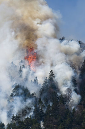 57 Austria disasters Stock Pictures, Editorial Images and Stock Photos ...