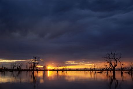 55 Menindee Stock Pictures, Editorial Images and Stock Photos ...