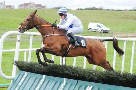Tramore Gold Tantrum Shane Butler Win Editorial Stock Photo - Stock ...