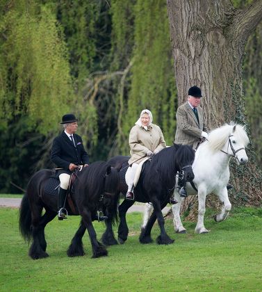 queen elizabeth ii animals Stock Photos (Exclusive) | Shutterstock
