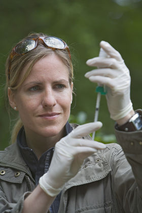 18 Animal inoculation Stock Pictures, Editorial Images and Stock Photos ...