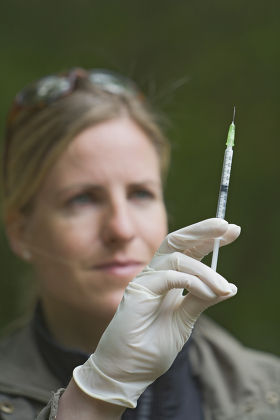18 Animal inoculation Stock Pictures, Editorial Images and Stock Photos ...