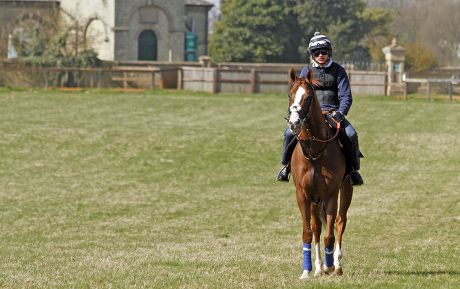 California Chrome Robbie Mills Having His Editorial Stock Photo - Stock ...