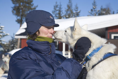93 Lapland woman Stock Pictures, Editorial Images and Stock Photos ...