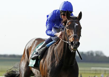 French Navy William Buick Wins Weatherbys Editorial Stock Photo - Stock ...