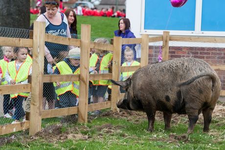 Dean Adamson Pat Tapley Local Rugby Editorial Stock Photo - Stock Image ...