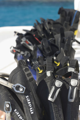 Diving Fins On Boat Editorial Stock Photo - Stock Image | Shutterstock