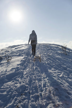 50 Sled slopes Stock Pictures, Editorial Images and Stock Photos ...