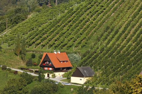 Vineyards Kitzeck Im Sausal Sausaler Weinstrasse Editorial Stock Photo ...