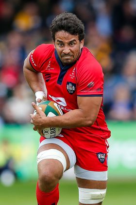 Bristol Rugby Flanker Marco Mama Action Editorial Stock Photo - Stock ...