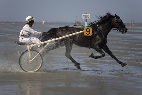 Trotter Horse Race North Sea Mud Editorial Stock Photo - Stock Image ...