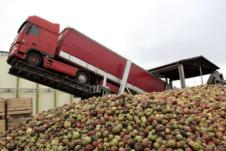 Lorry Truck Apples On Ramp Delivering Editorial Stock Photo - Stock ...