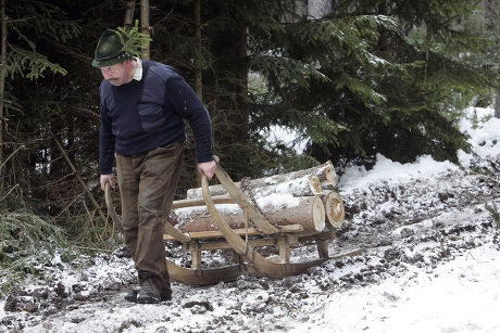 18 Firewood operation Stock Pictures, Editorial Images and Stock Photos ...