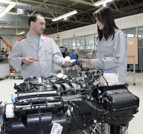 Instructor Explaining Dipstick Trainee Automotive Mechatronics ...