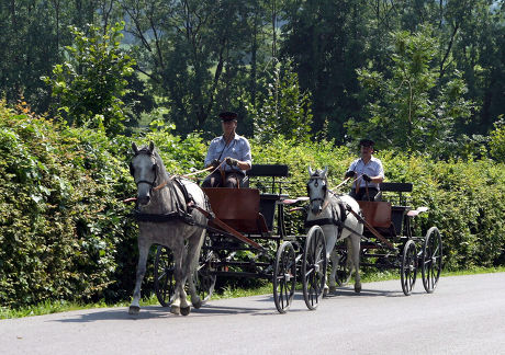 __COUNT__ LIPIZZANER STUD FARM, PIBER, AUSTRIA - AUG 2004 Stock ...