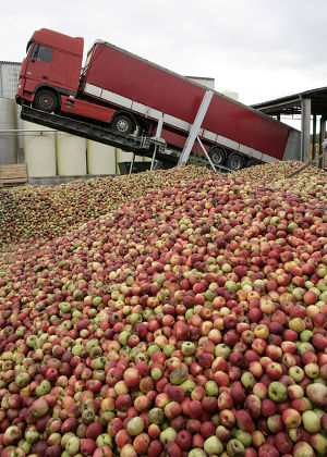 Lorry Truck Apples On Ramp Delivering Editorial Stock Photo - Stock ...