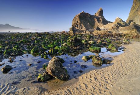Tide Pools Cannon Beach Clatsop County Editorial Stock Photo - Stock ...