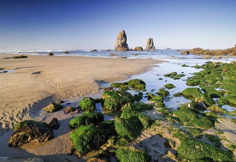 Tide Pools Cannon Beach Clatsop County Editorial Stock Photo - Stock ...