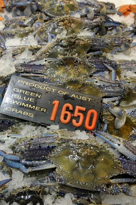 77 Crab stand Stock Pictures, Editorial Images and Stock Photos ...