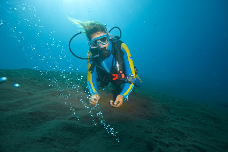 10 Diving ascent Stock Pictures, Editorial Images and Stock Photos ...