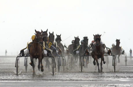 75 Harness races Stock Pictures, Editorial Images and Stock Photos ...