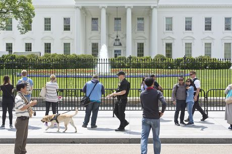 Secret Service Canine Teams Patrol North Editorial Stock Photo - Stock ...
