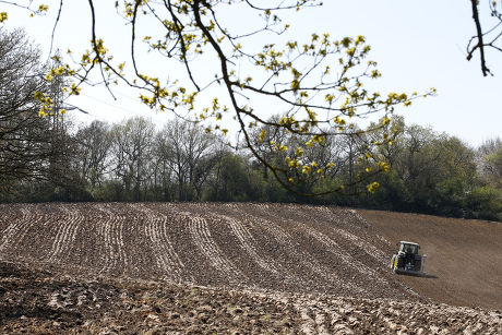 Farmer Prepares Seed Bed Maize Growing Editorial Stock Photo - Stock ...