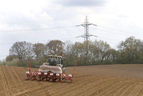Farmer Prepares Seed Bed Maize Growing Editorial Stock Photo - Stock ...