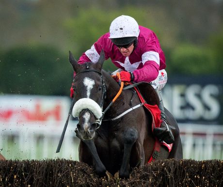 Paul Carberry Clears Last On Don Editorial Stock Photo - Stock Image ...