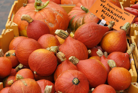 Hokkaido Squash Cucurbita Maxima Editorial Stock Photo - Stock Image ...