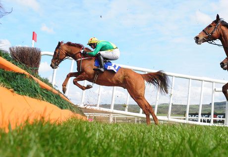 Horse Racing - 1 May 2015 Stock Pictures, Editorial Images and Stock ...