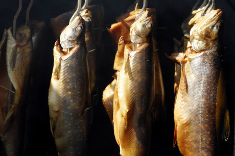 Curing Oven Fish Market Square Waren Editorial Stock Photo - Stock ...