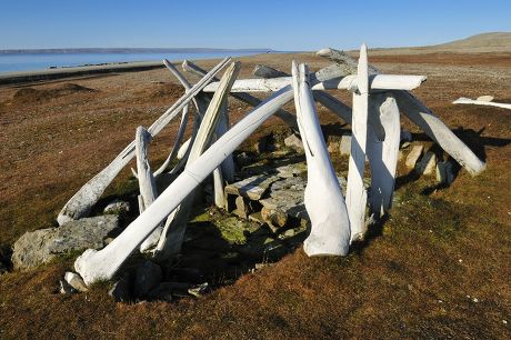 Historic Inuit House Thule Culture Made Editorial Stock Photo - Stock ...