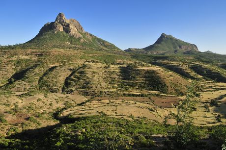 Terraced Fields Adua Adwa Mountains Tigray Editorial Stock Photo ...