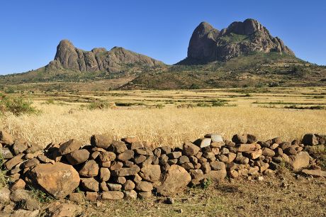 Wheat Field Adua Adwa Mountains Tigray Editorial Stock Photo - Stock ...