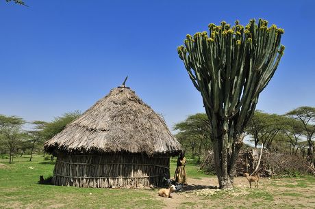 Traditional African Hut Grasshut Gojo Rift Editorial Stock Photo ...