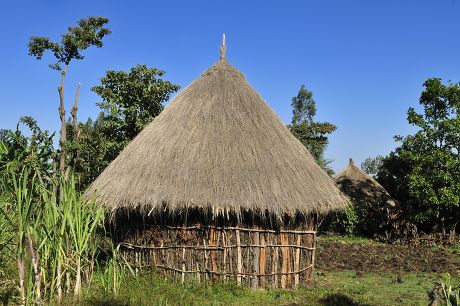 Traditional African Hut Grasshut Farmhouse Gojo Editorial Stock Photo ...
