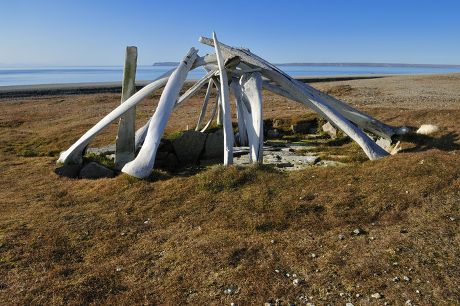 Historic Inuit House Thule Culture Made Editorial Stock Photo - Stock ...