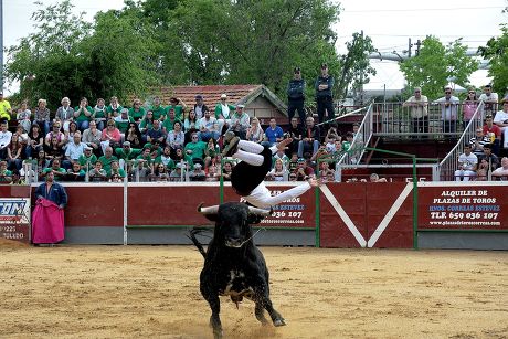 Recortadores Bloodless Form Bullfighting Which Involves Editorial Stock ...