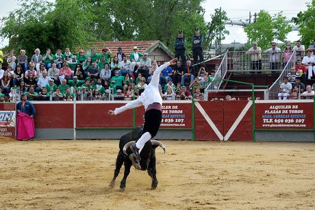 Recortadores Bloodless Form Bullfighting Which Involves Editorial Stock ...